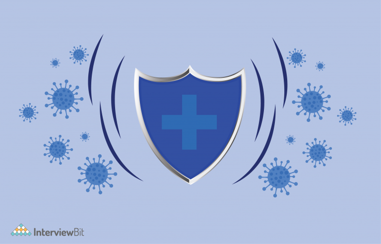 15+ Web Development Projects With Source Code [2023] - InterviewBit