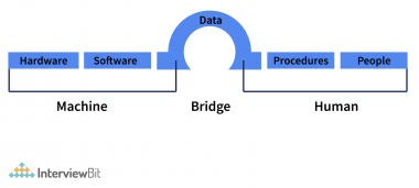 What are the Components of DBMS (Database Management System ...