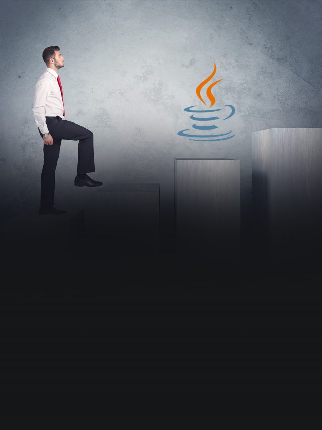 7 Lucrative Career Paths for Java Developers in the Tech Industry ...